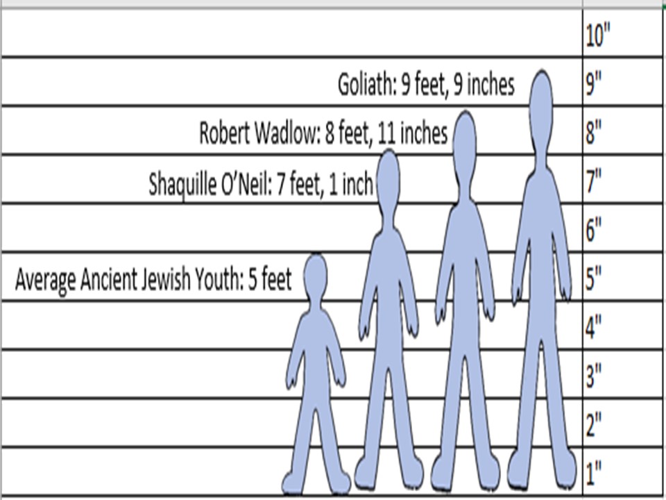 David and Goliath – Teach Grow Sow
