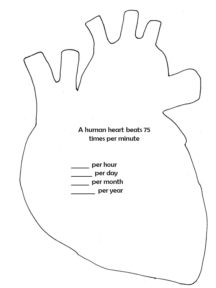 Math Projects – Teach Grow Sow