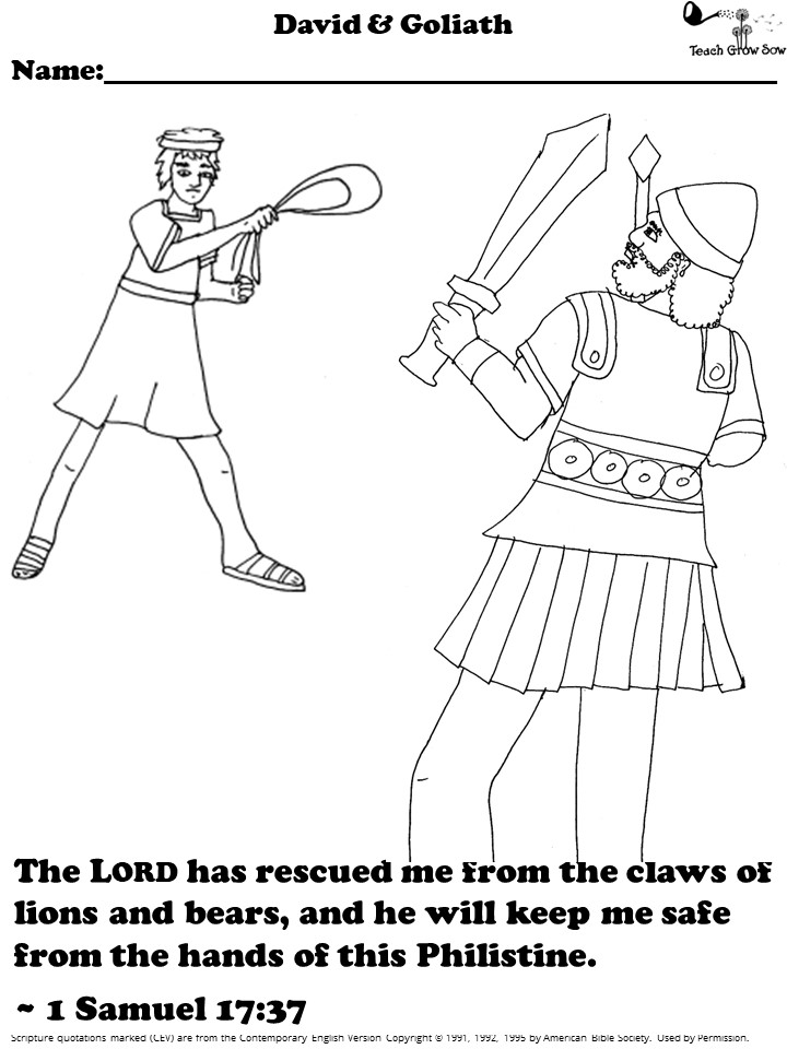 David and Goliath – Teach Grow Sow