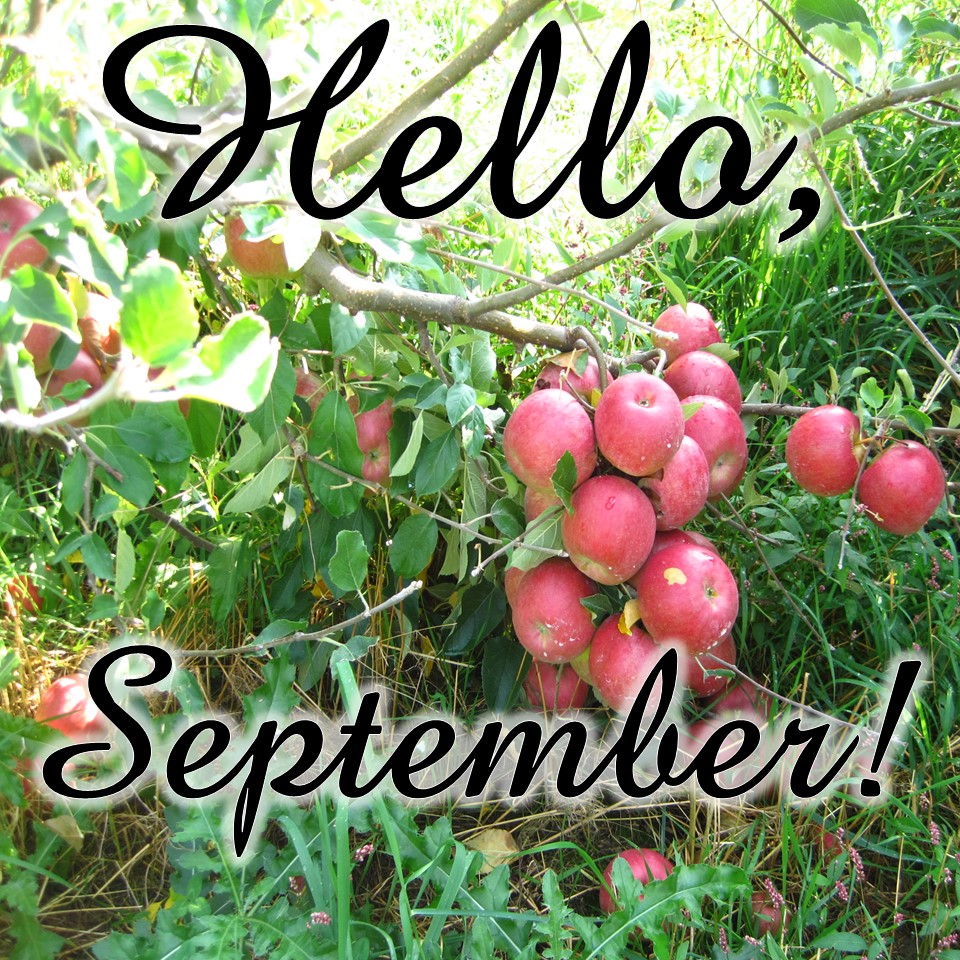 September, 2022 – Teach Grow Sow