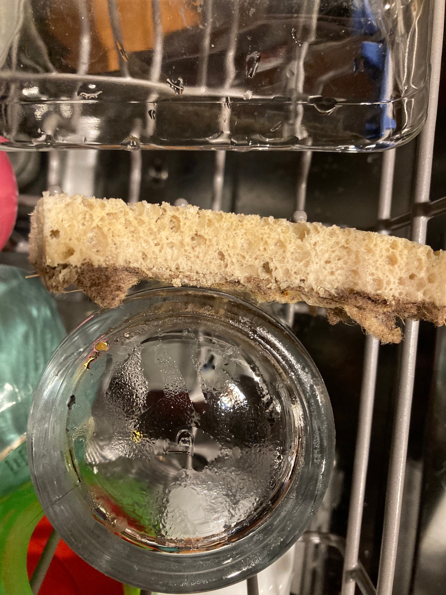 Food Hacks You’ll Wish You’d Always Known – Teach Grow Sow