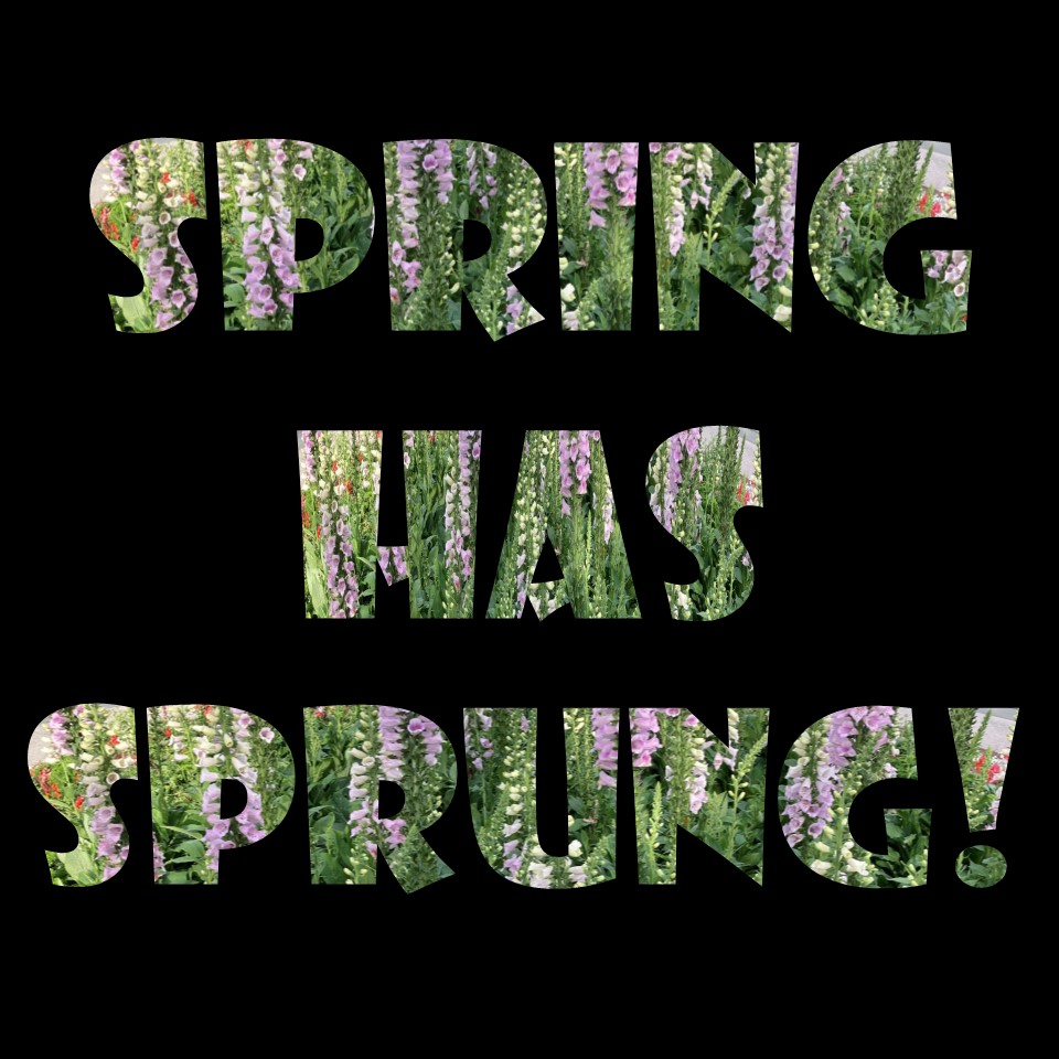 April, 2023 – Teach Grow Sow