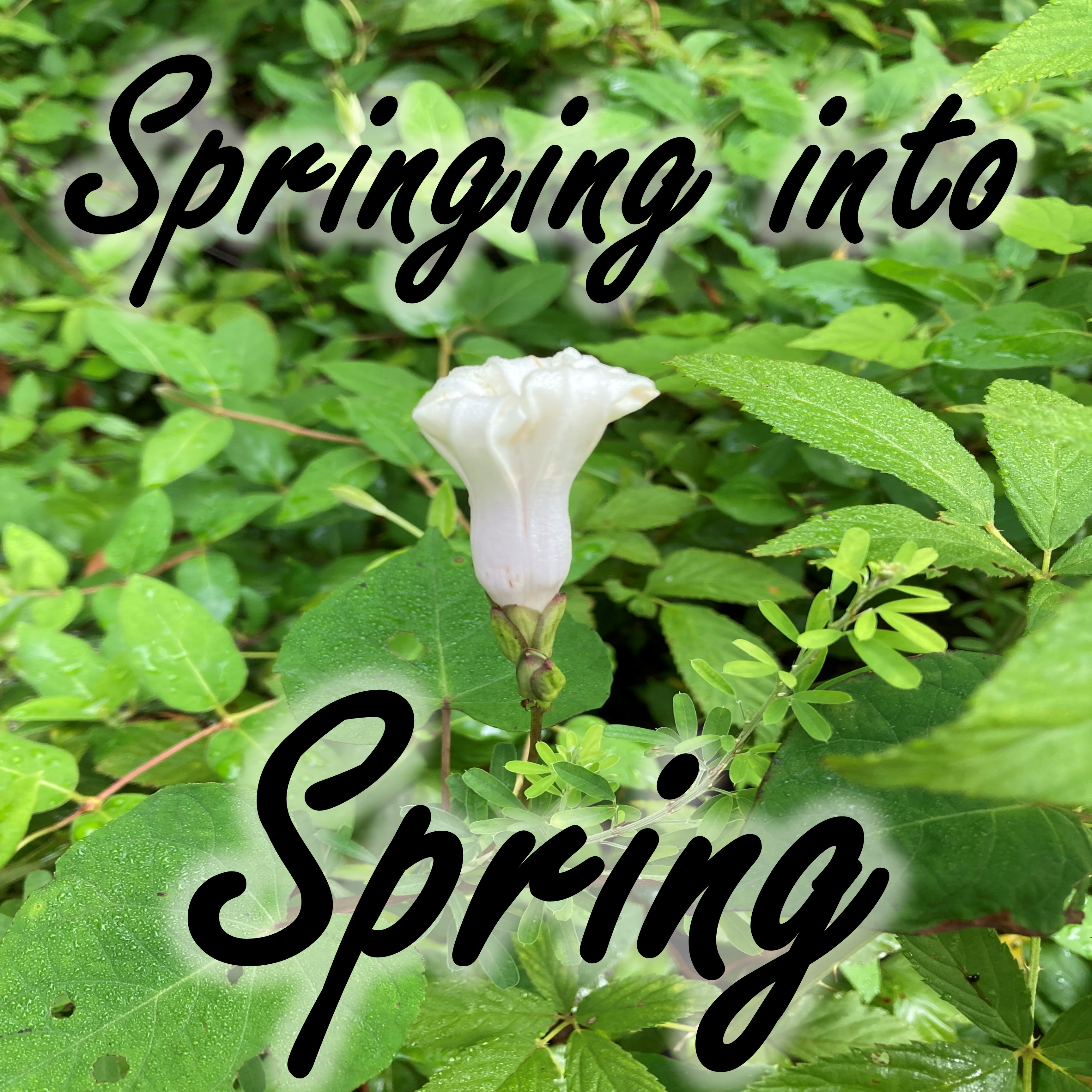 April, 2024 – Teach Grow Sow