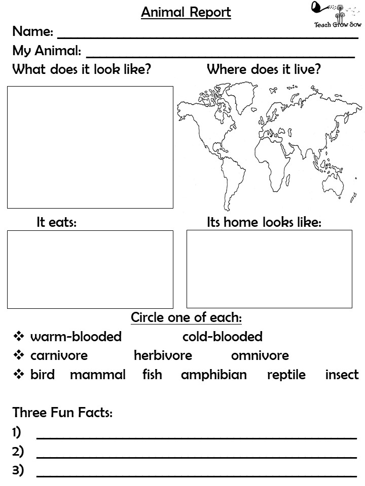 Biology – Teach Grow Sow