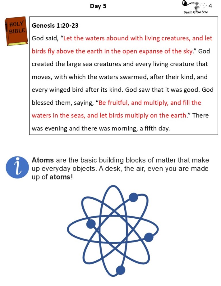 Creation – Teach Grow Sow