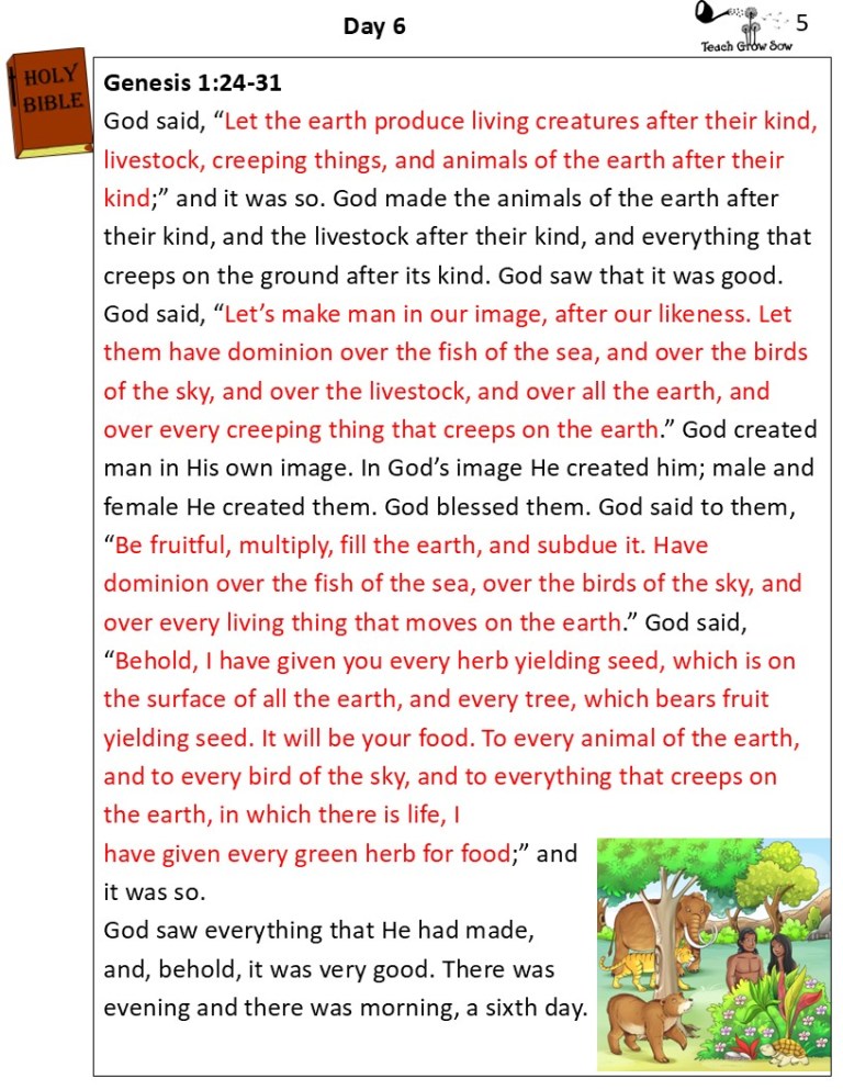 Creation – Teach Grow Sow