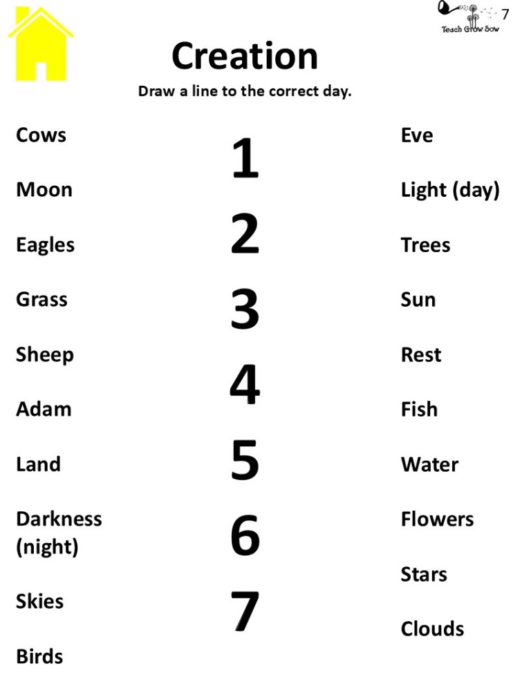 Creation – Teach Grow Sow