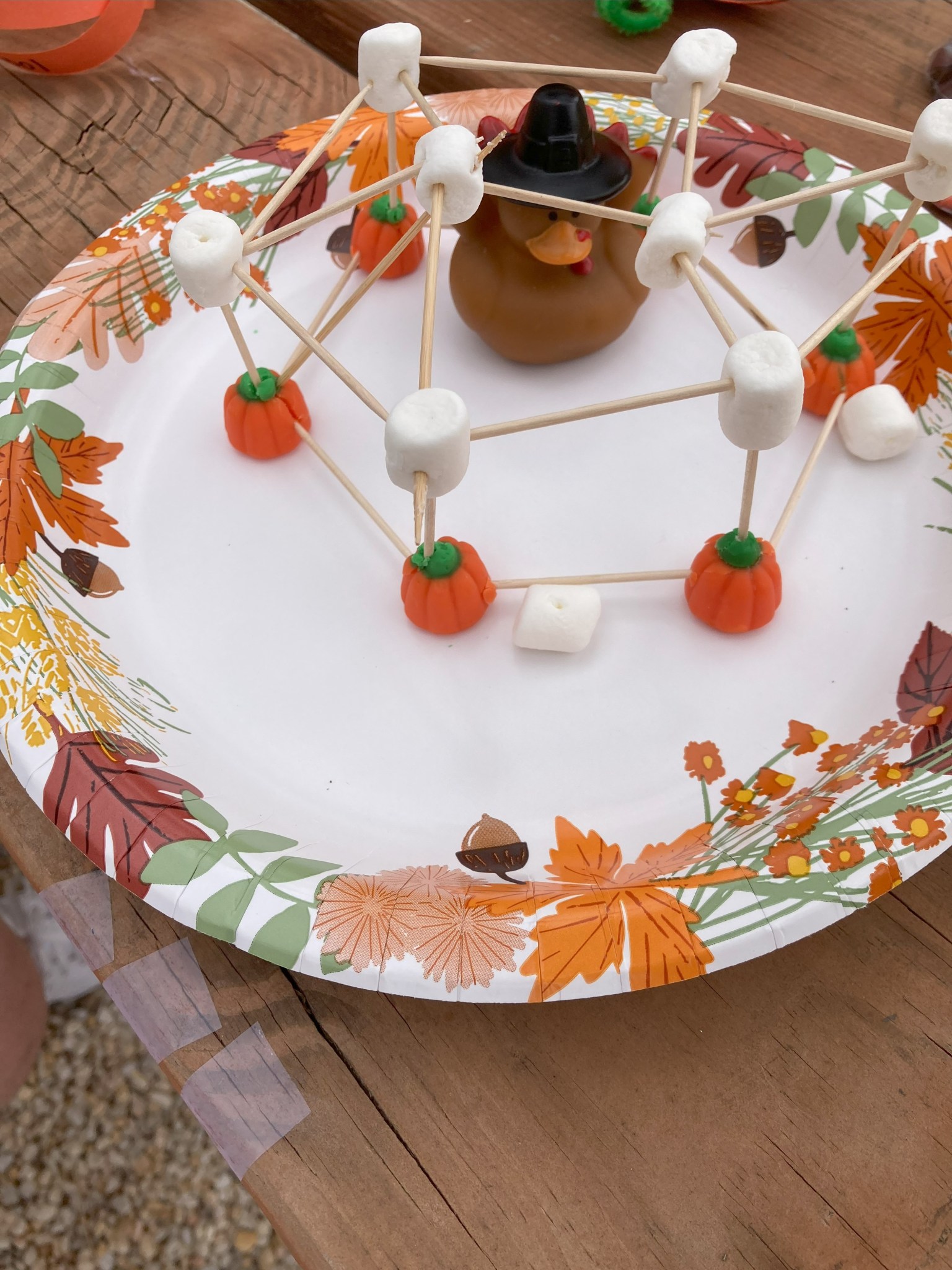 Thanksgiving – Teach Grow Sow