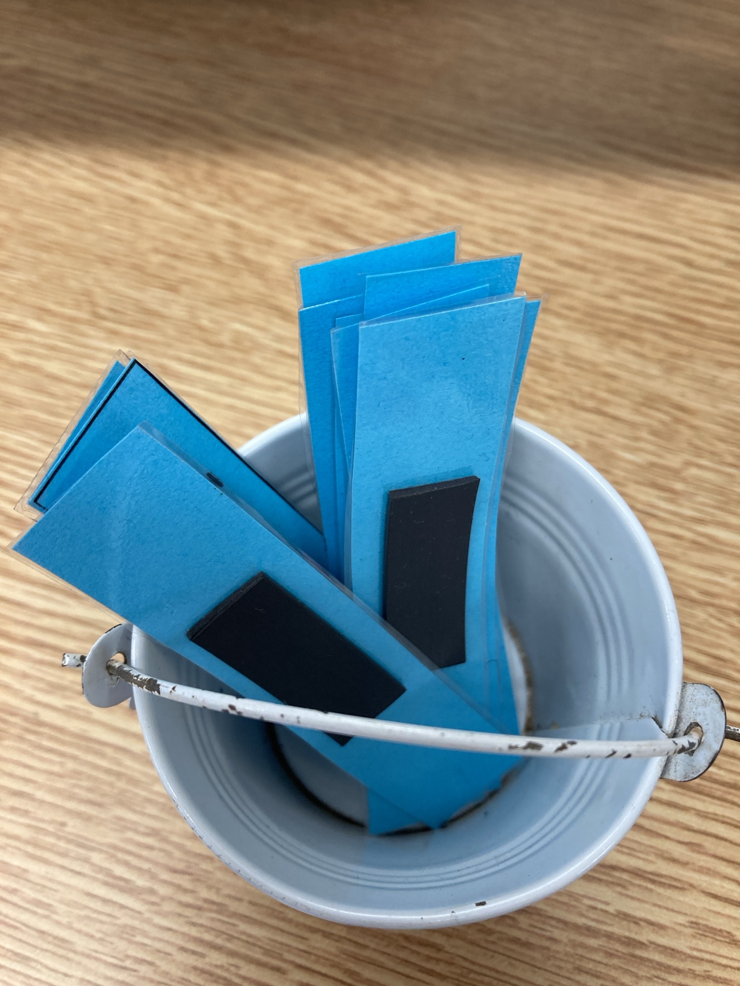 Classroom Community – Teach Grow Sow