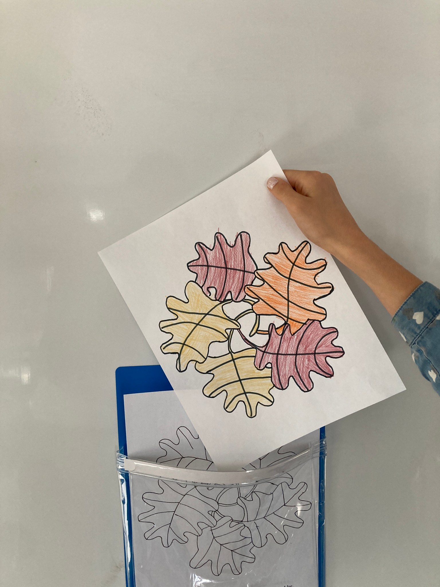 Classroom Management – Teach Grow Sow