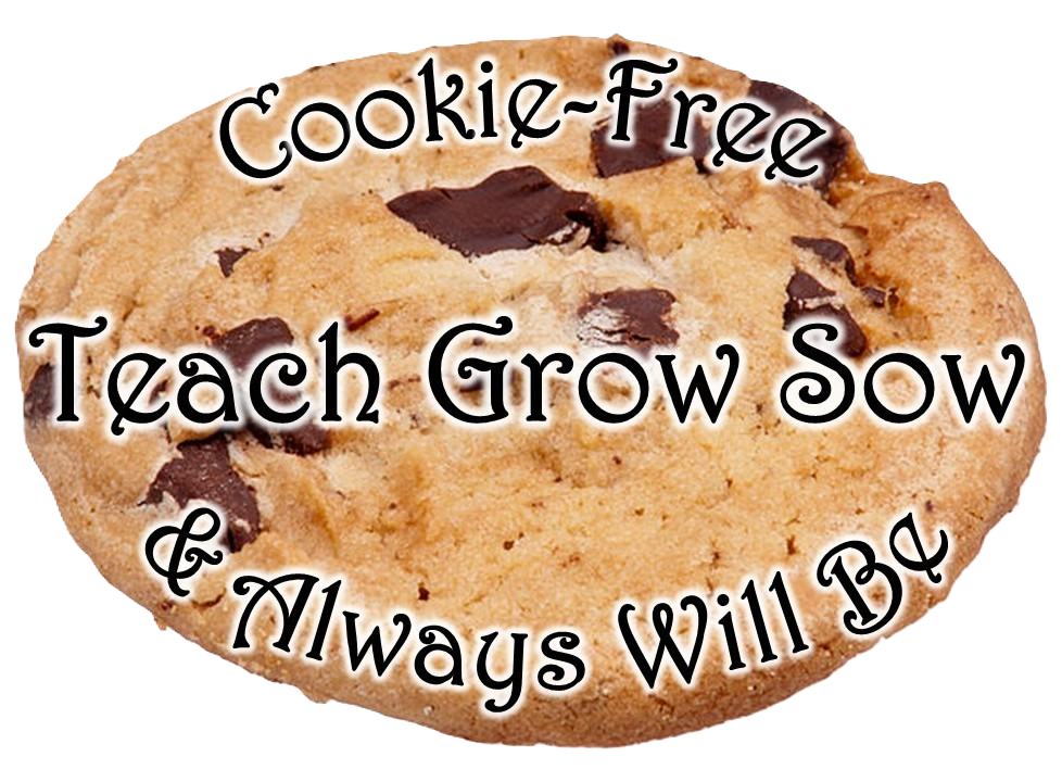 All the Questions for Teachers to Ask at a New School – Teach Grow Sow