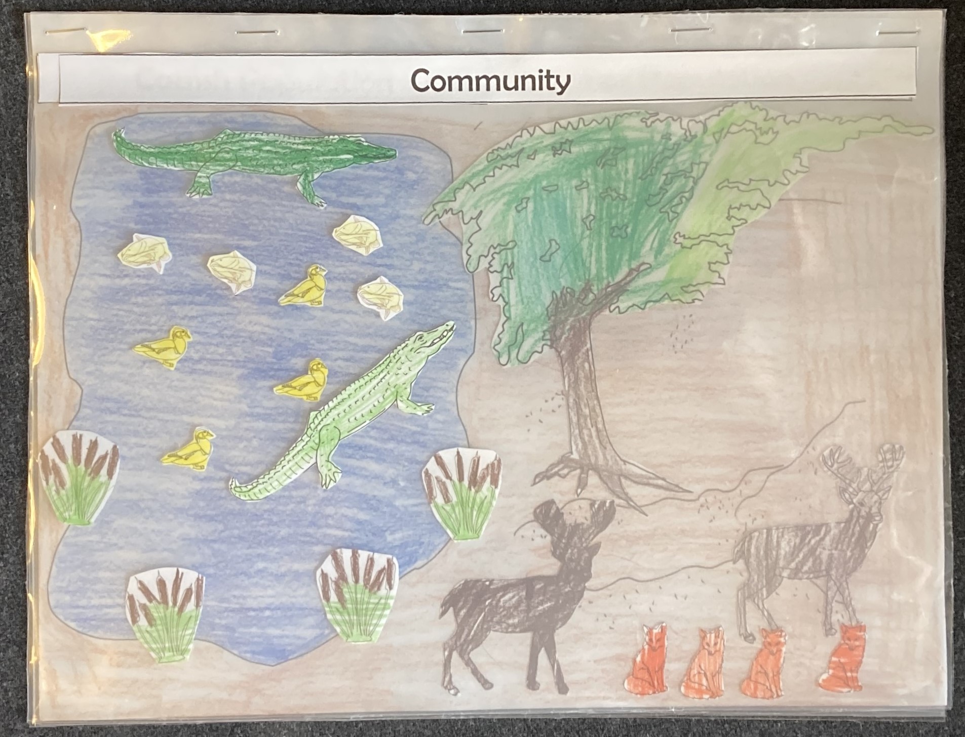 Earth Science – Teach Grow Sow