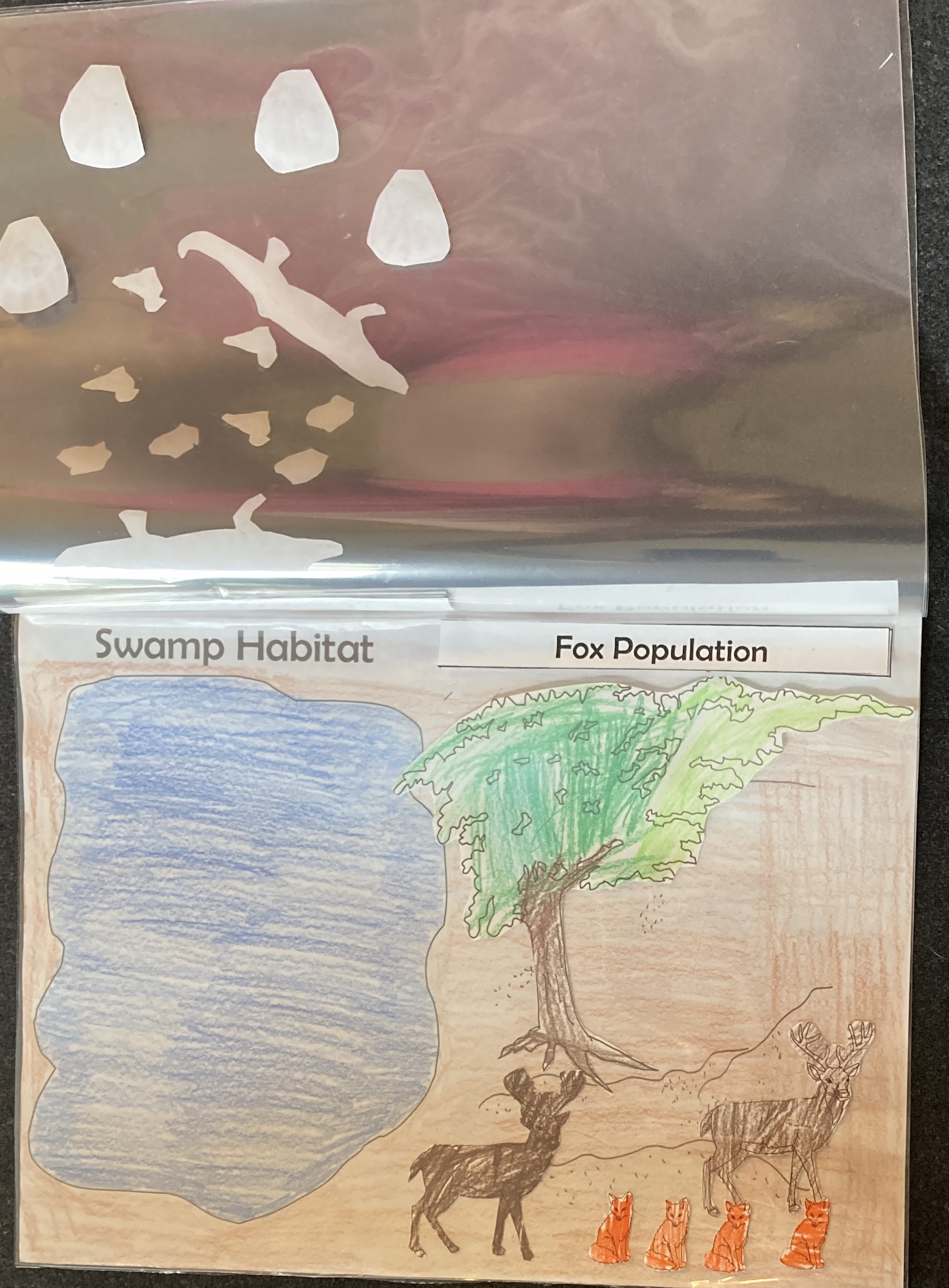 Earth Science – Teach Grow Sow