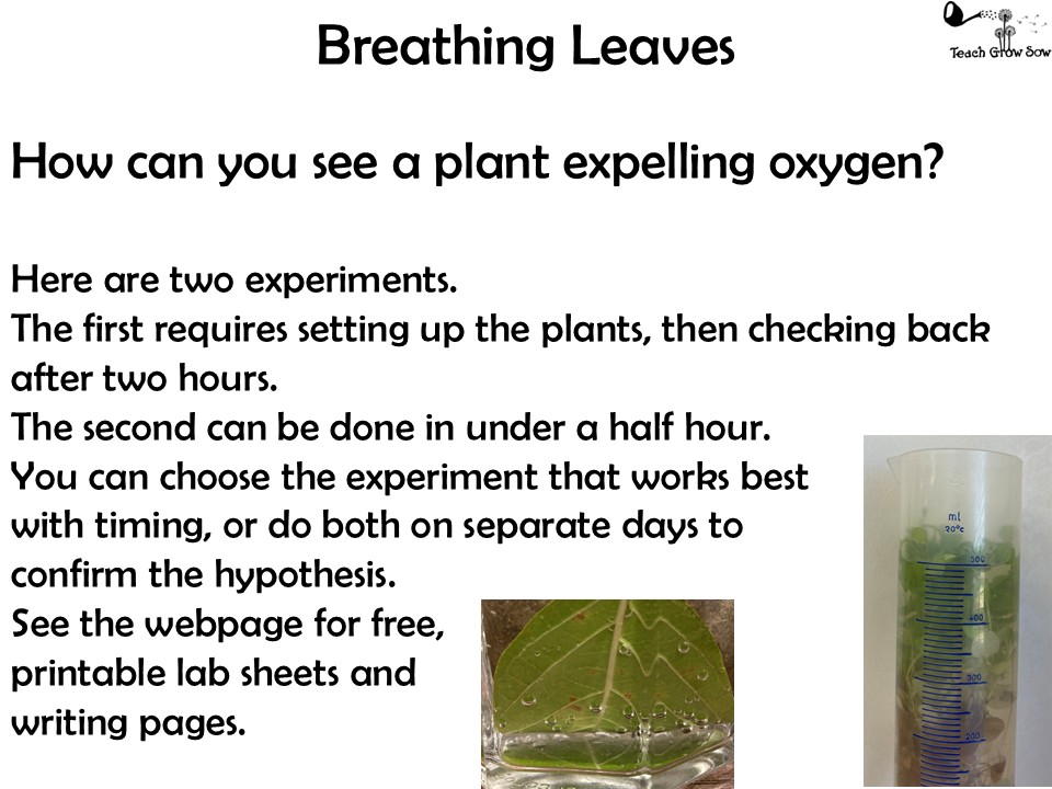 Biology – Teach Grow Sow